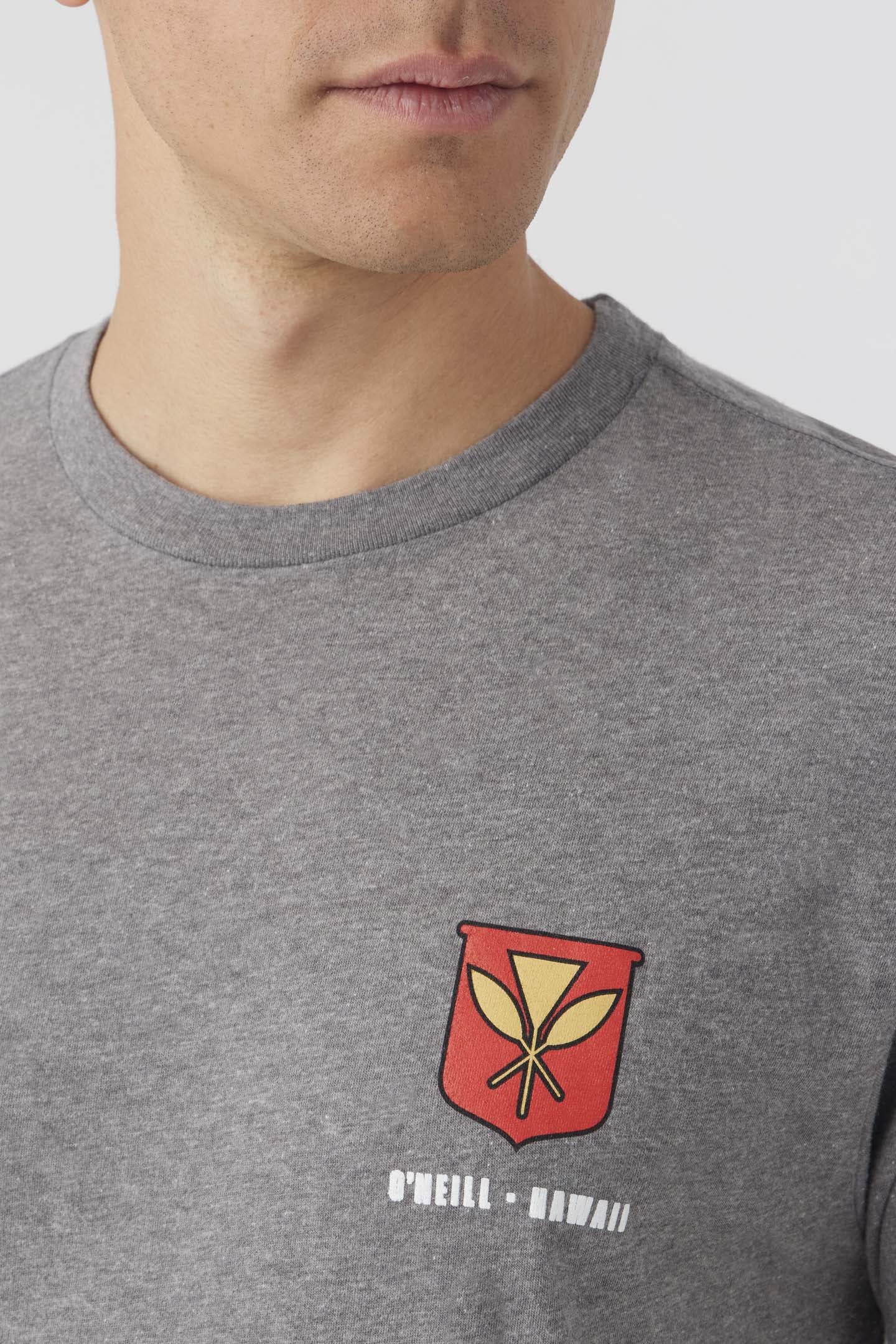 Hi Maoli Tee - Heather Grey | O'Neill