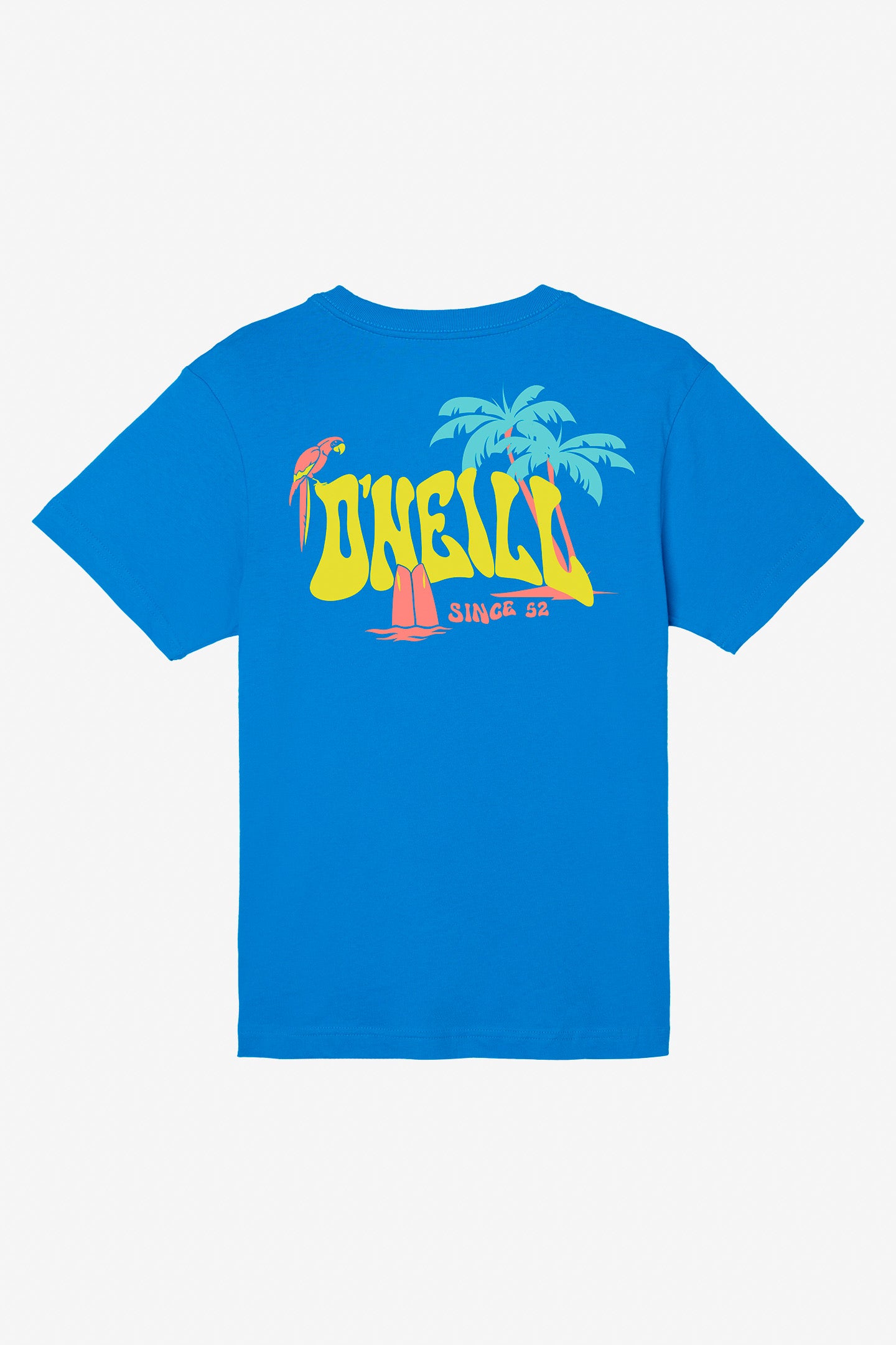 Boy's Lagger Tee - Royal Heather | O'Neill