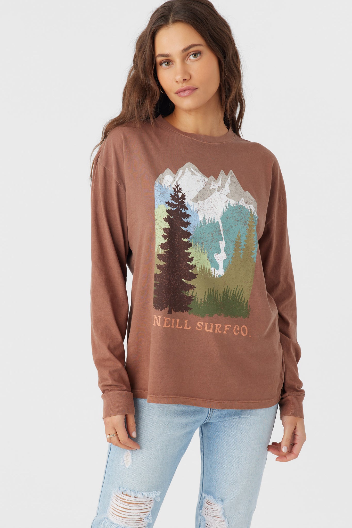 Mountain Range Tee - Tobacco | O'Neill