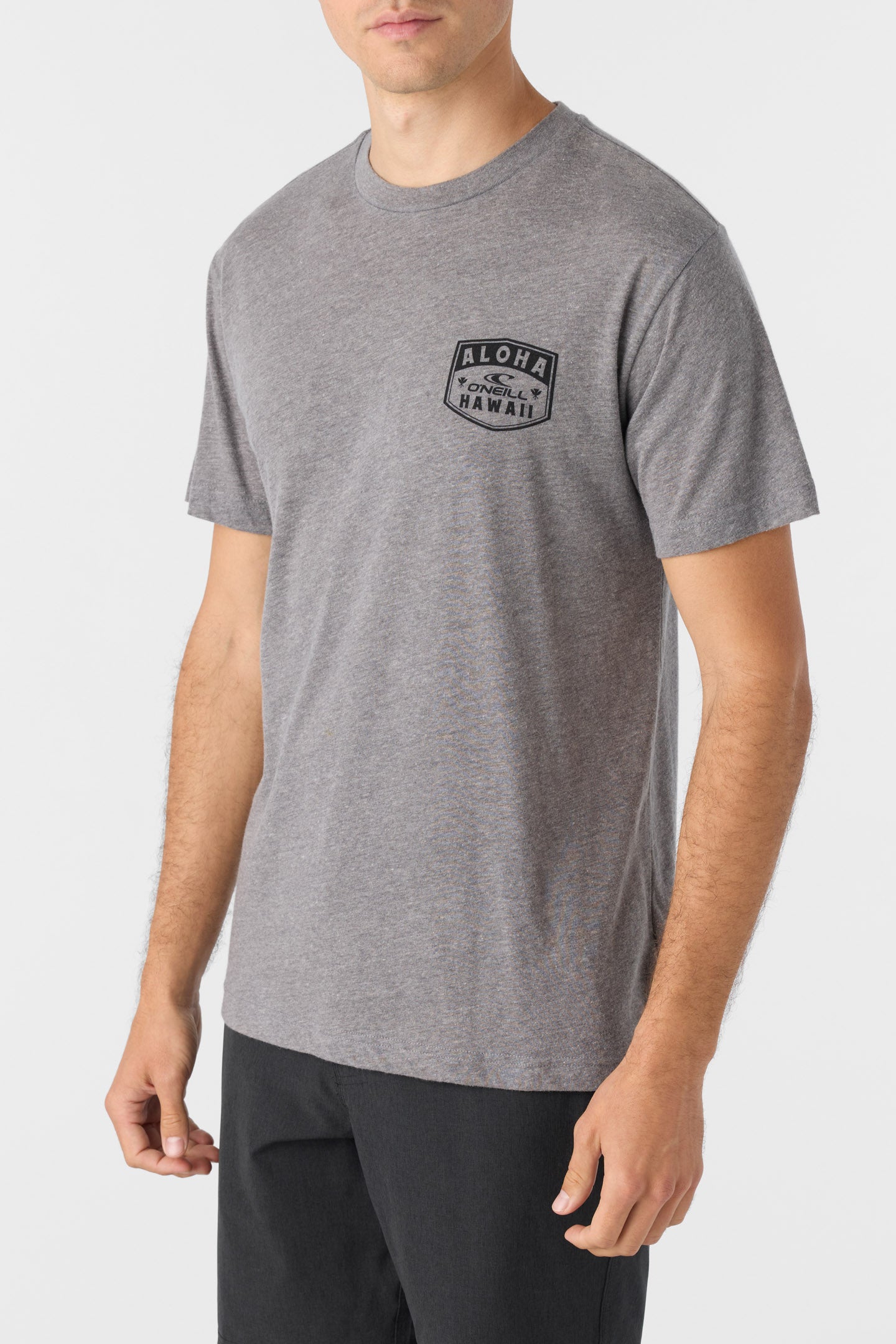 Chee Pono Standard Fit Tee - Heather Grey | O'Neill