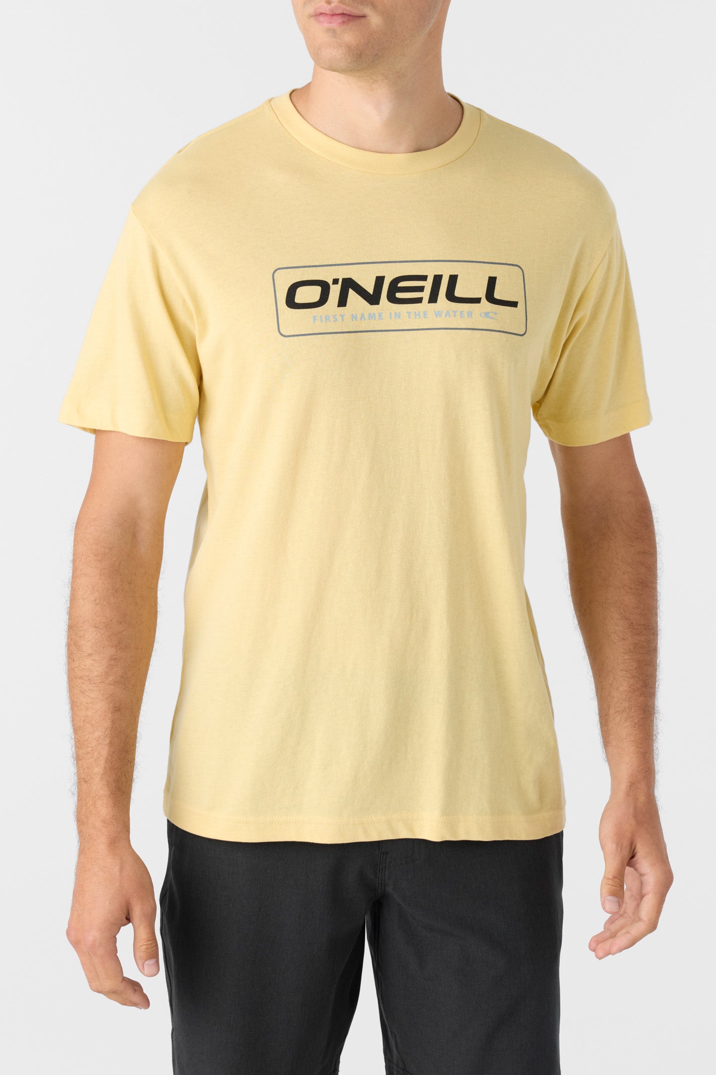 Bruce Standard Fit Tee - Lemon Grass | O'Neill