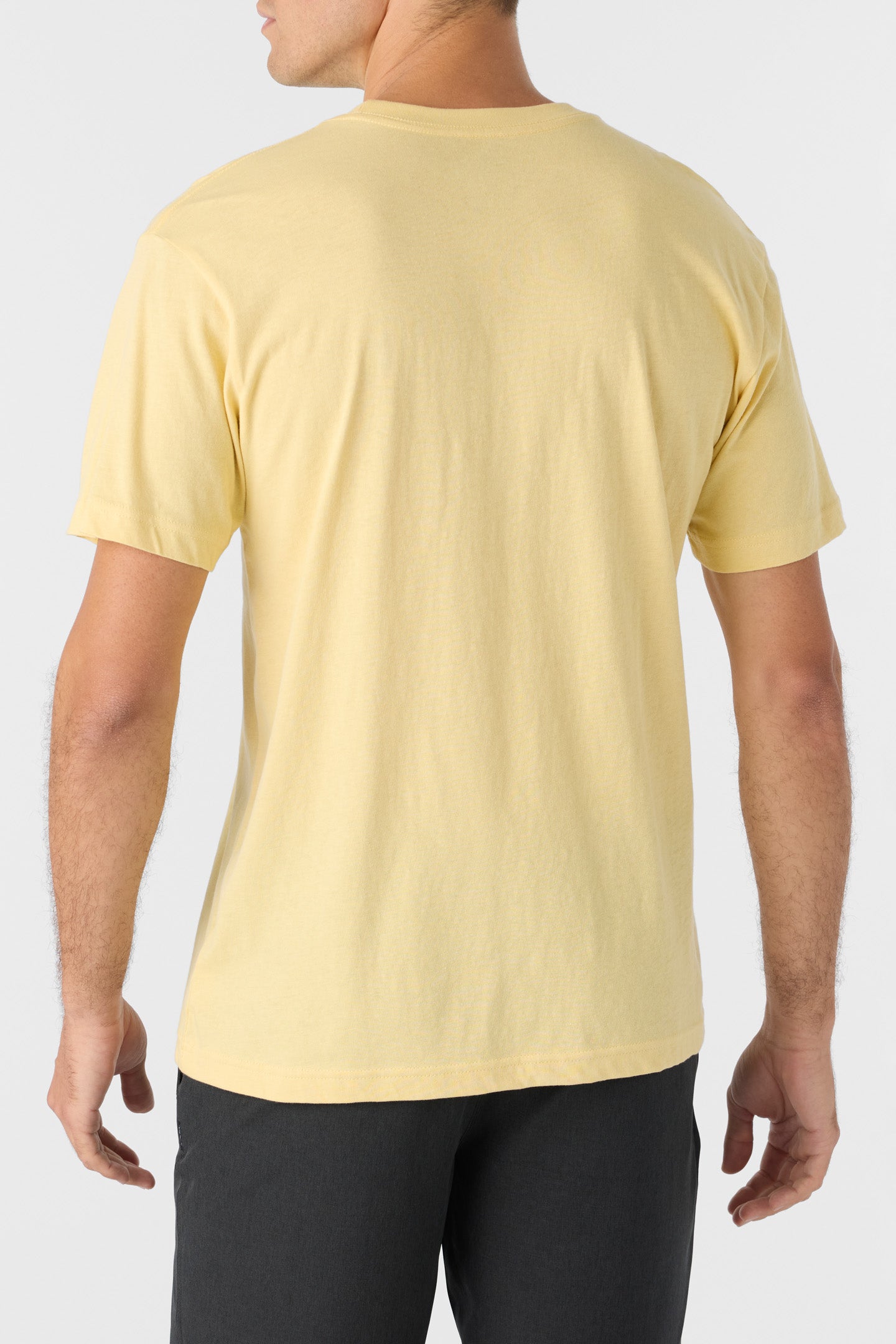 Bruce Standard Fit Tee - Lemon Grass | O'Neill