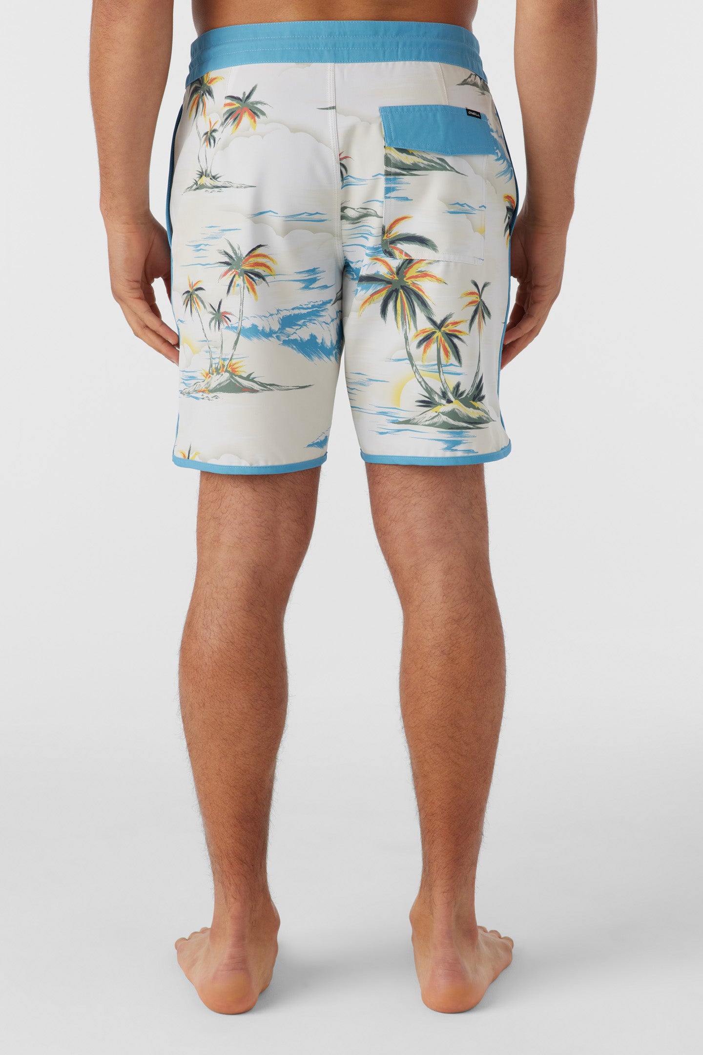 Cruzer Scallop 18" Boardshorts - Cream | O'Neill