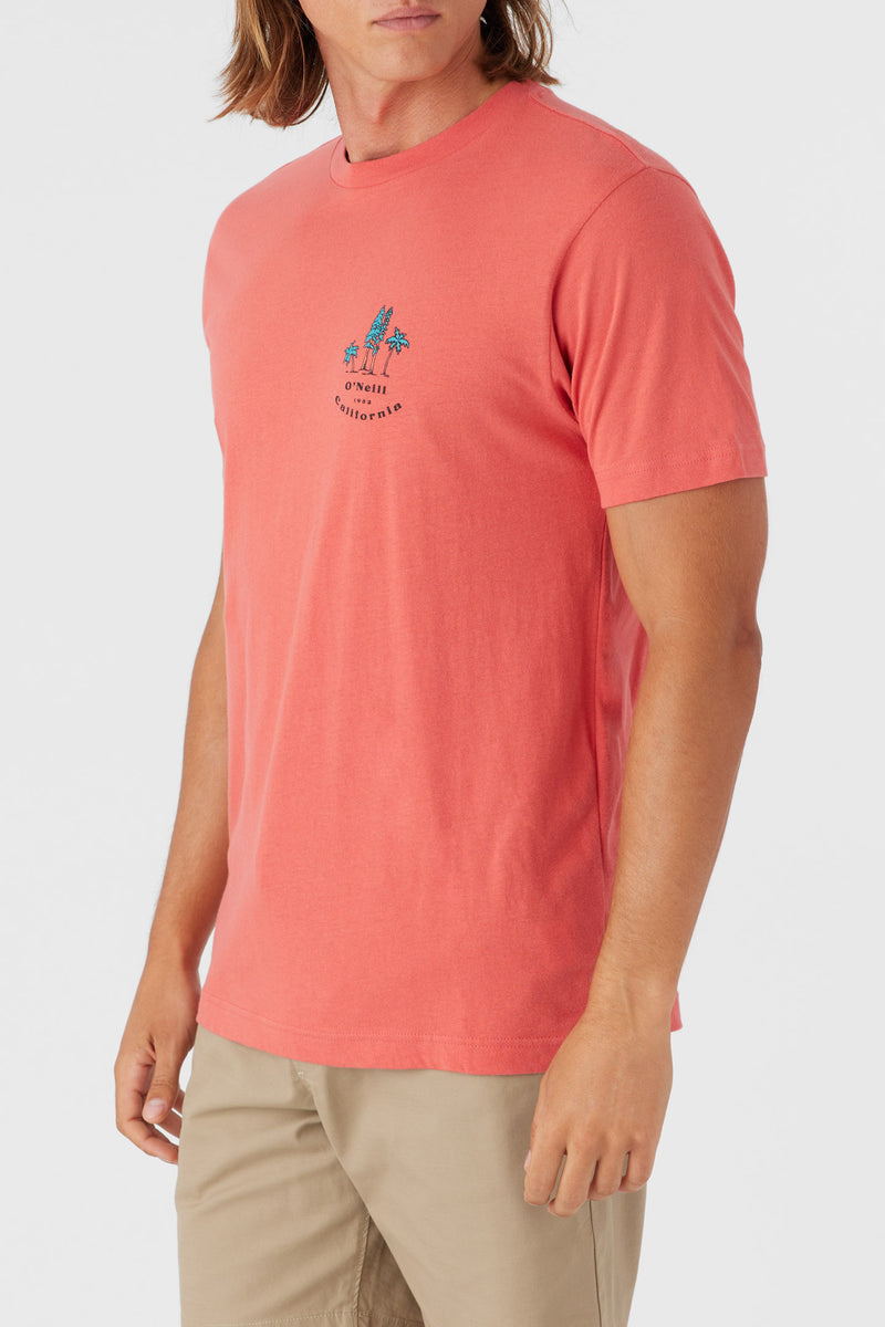 Birdseye Standard Fit Tee - Hot Red | O'Neill