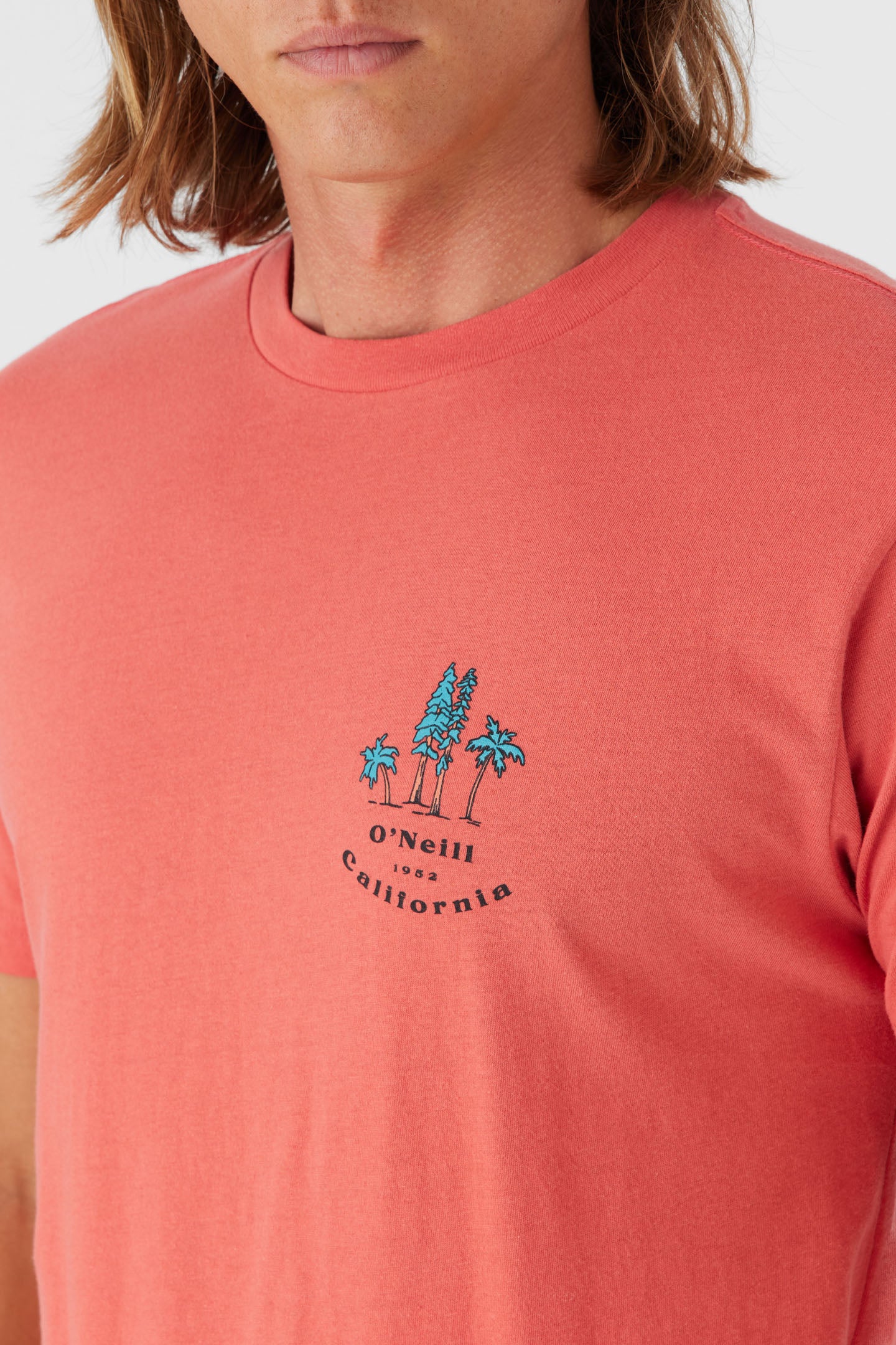 Birdseye Standard Fit Tee - Hot Red | O'Neill